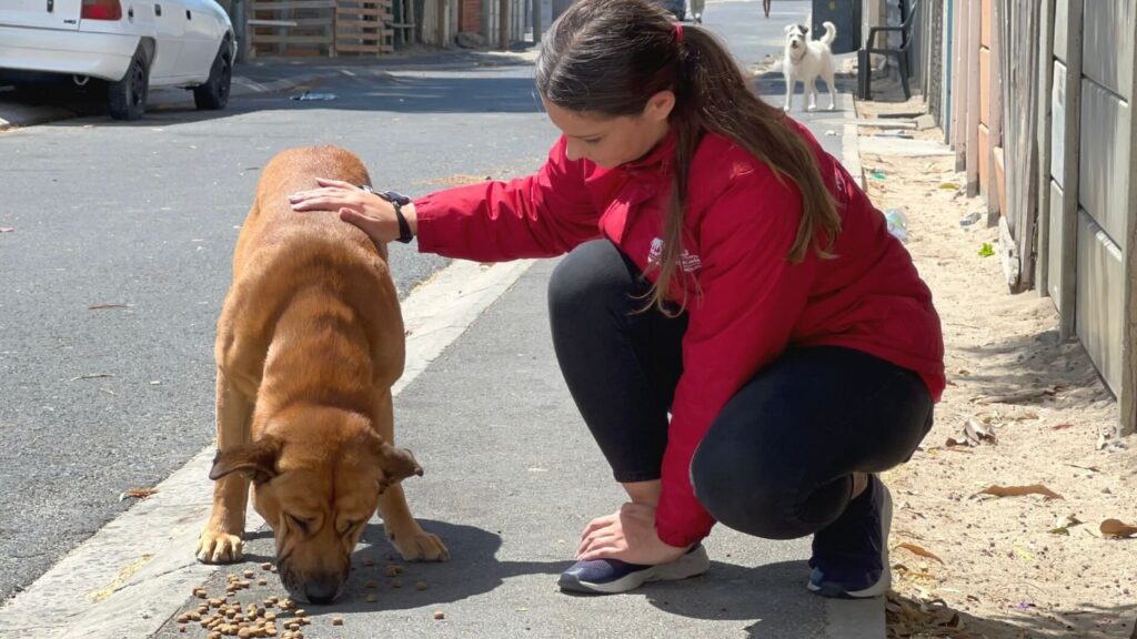 Southern Africa | Network for Animals