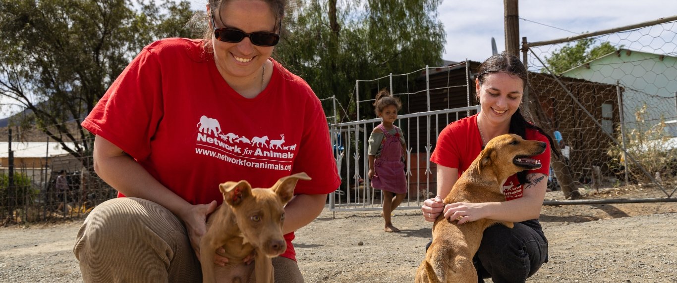 How Network for Animals helped animals in May - Network for Animals
