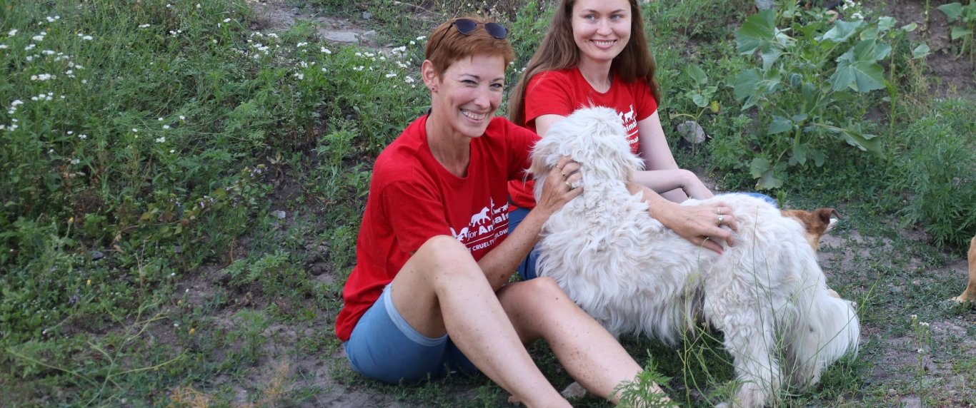 How Network for Animals helped animals in July - Network for Animals
