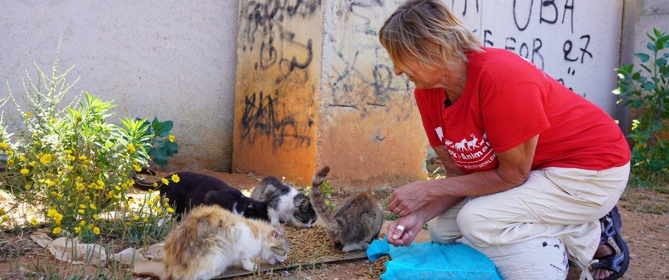 How Network for Animals helped animals in June. - Network for Animals