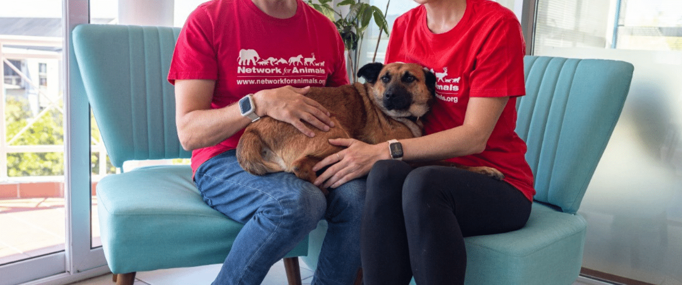 It’s A Furrytail: Sammi The Dog Is Living The Life! - Network for Animals