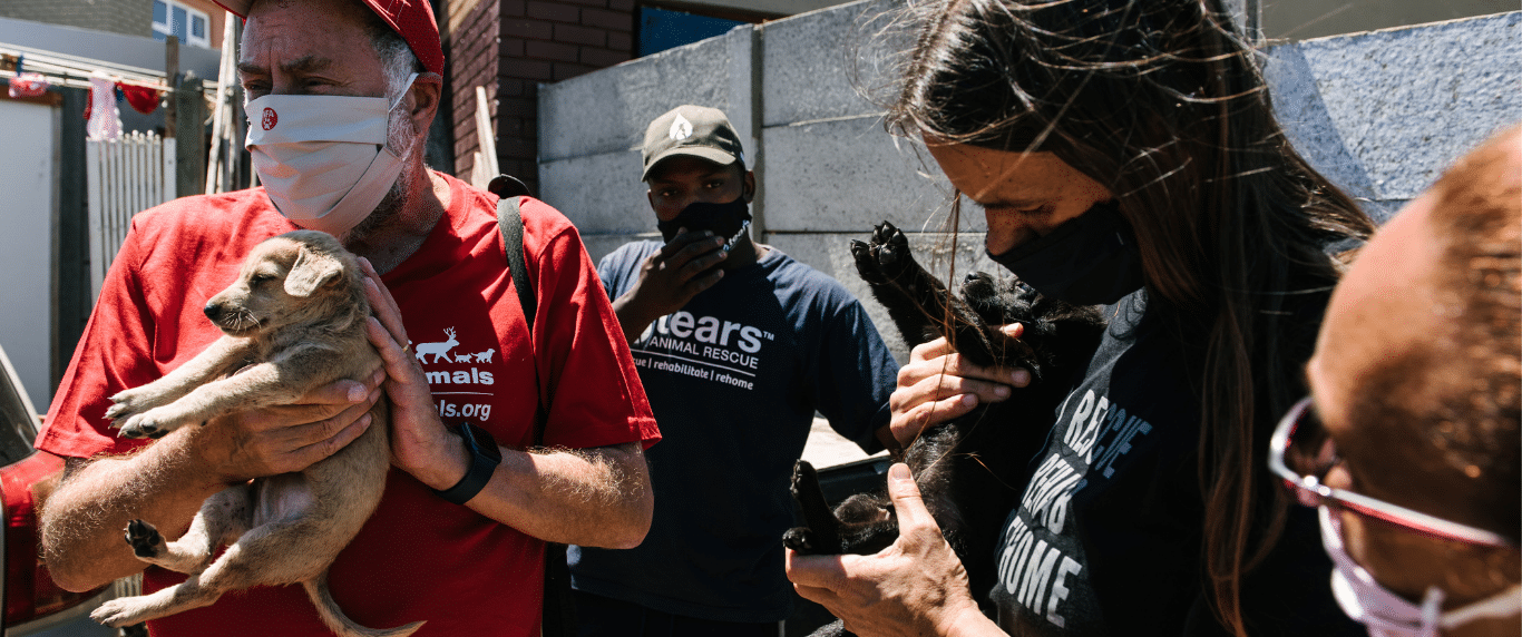 Your donations in ACTION: February 2021 - Network for Animals