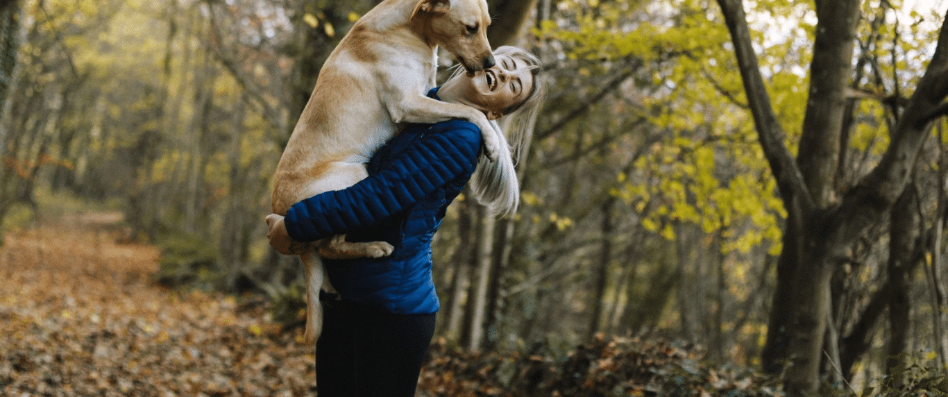 Why your dog helps you relax more than your friends do - Network for ...