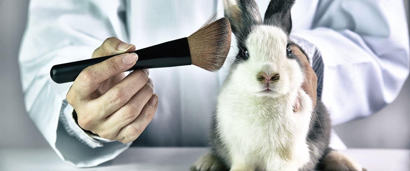 Fourth US State Bans Cosmetic Testing And The Sale Of Animal-tested ...