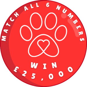 Lottery | Network for Animals