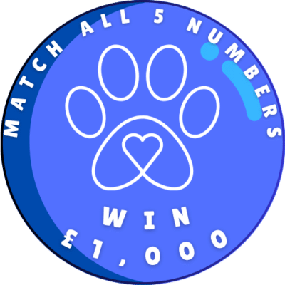 Lottery | Network for Animals