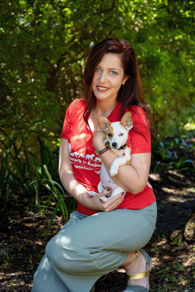 Meet our team | Network for Animals