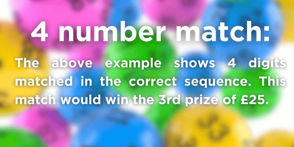 Lottery | Network for Animals