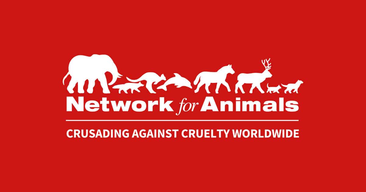 Animal Welfare Organisation | Network for Animals
