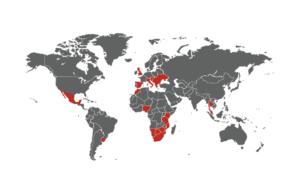 Our Animal Welfare Organisation | Network for Animals