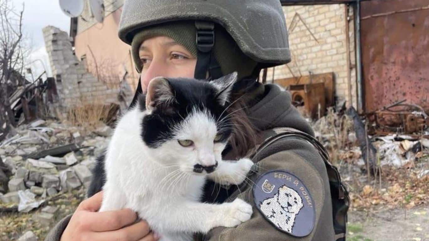 Ukraine ARK Dogs Cats Russian Advance - Network for Animals