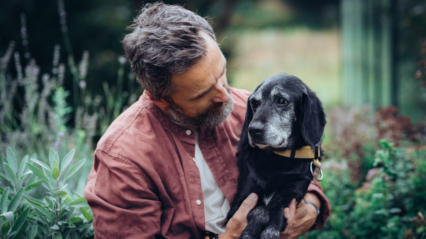 Research to help dogs live longer, healthier lives could unlock secrets ...